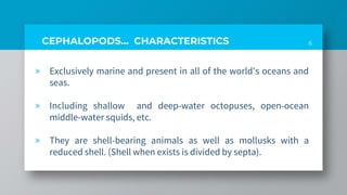 Presentation on cephalopods 1 | PPTX