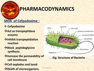 Presentation on Cepodem ( Cefpodoxime ) | PPTX