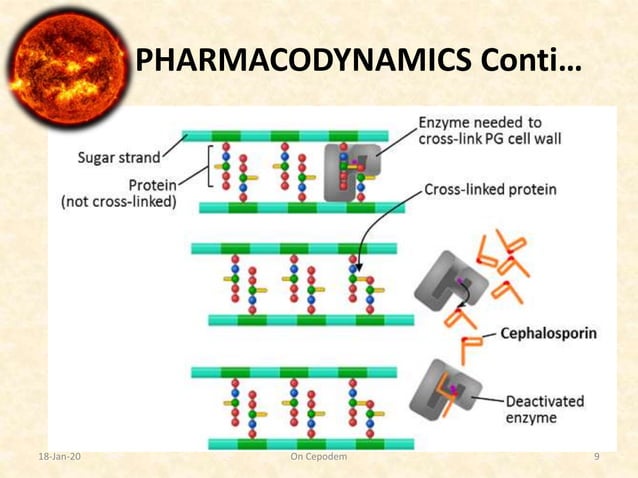 Presentation on Cepodem ( Cefpodoxime ) | PPTX | Infectious Diseases ...