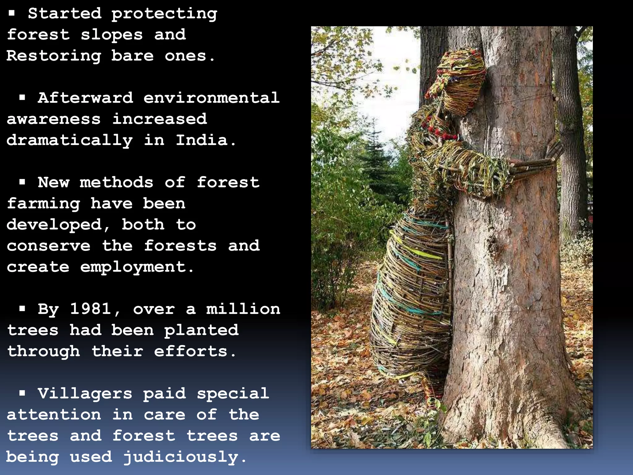 Presentation on Chipko Movement.pptx