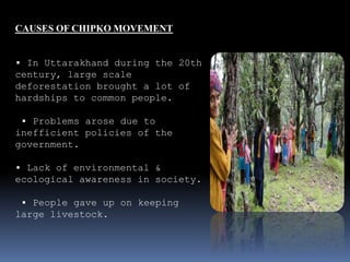 Presentation on Chipko Movement.pptx