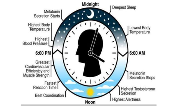 Application of Chronotherapy In disease | PPTX | Blood Disorders ...