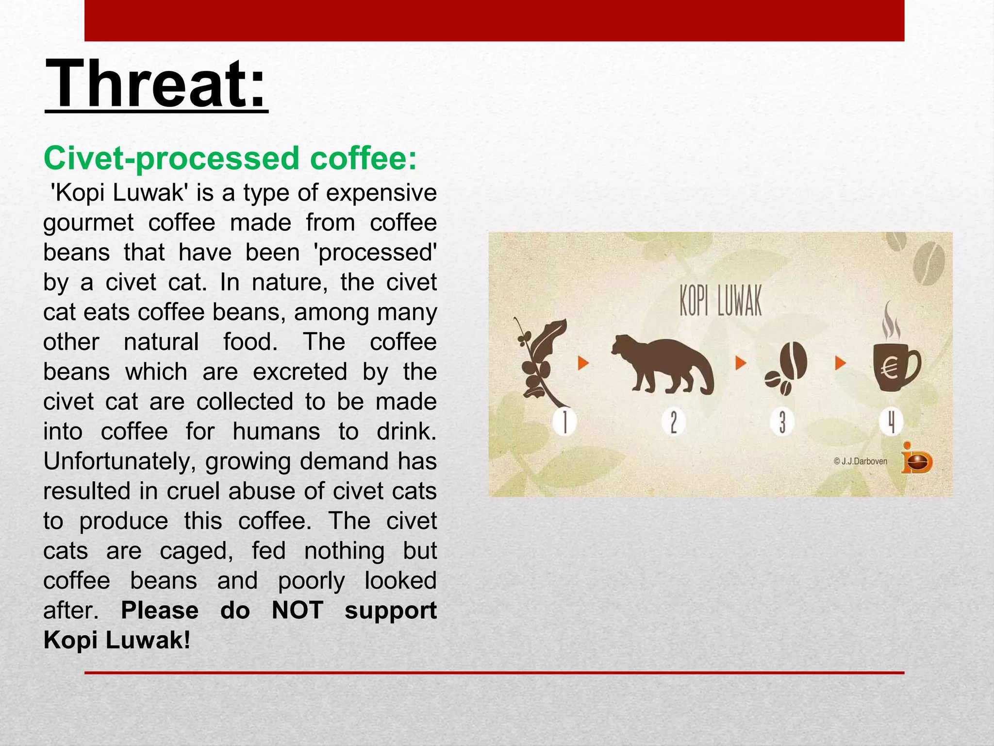 Presentation on civet | PPT
