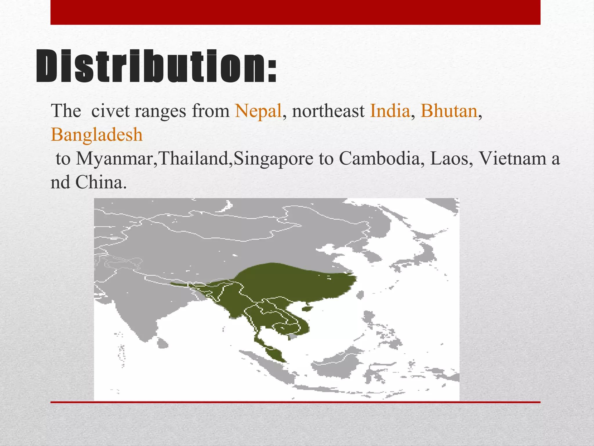 Presentation on civet | PPT