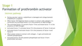 Presentation on coagulation cascade.pptx