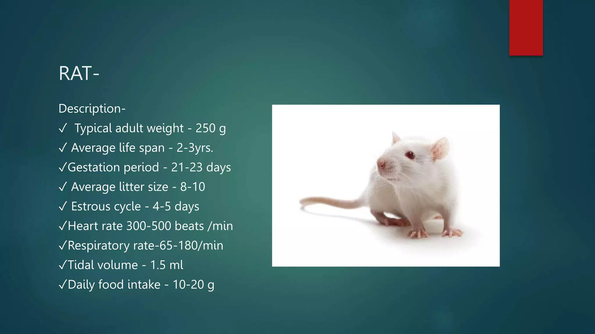 PRESENTATION ON COMMON LABORATORY ANIMALS (Aslamkhan).pptx