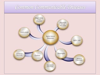 Presentation on communicable diseases | PPT
