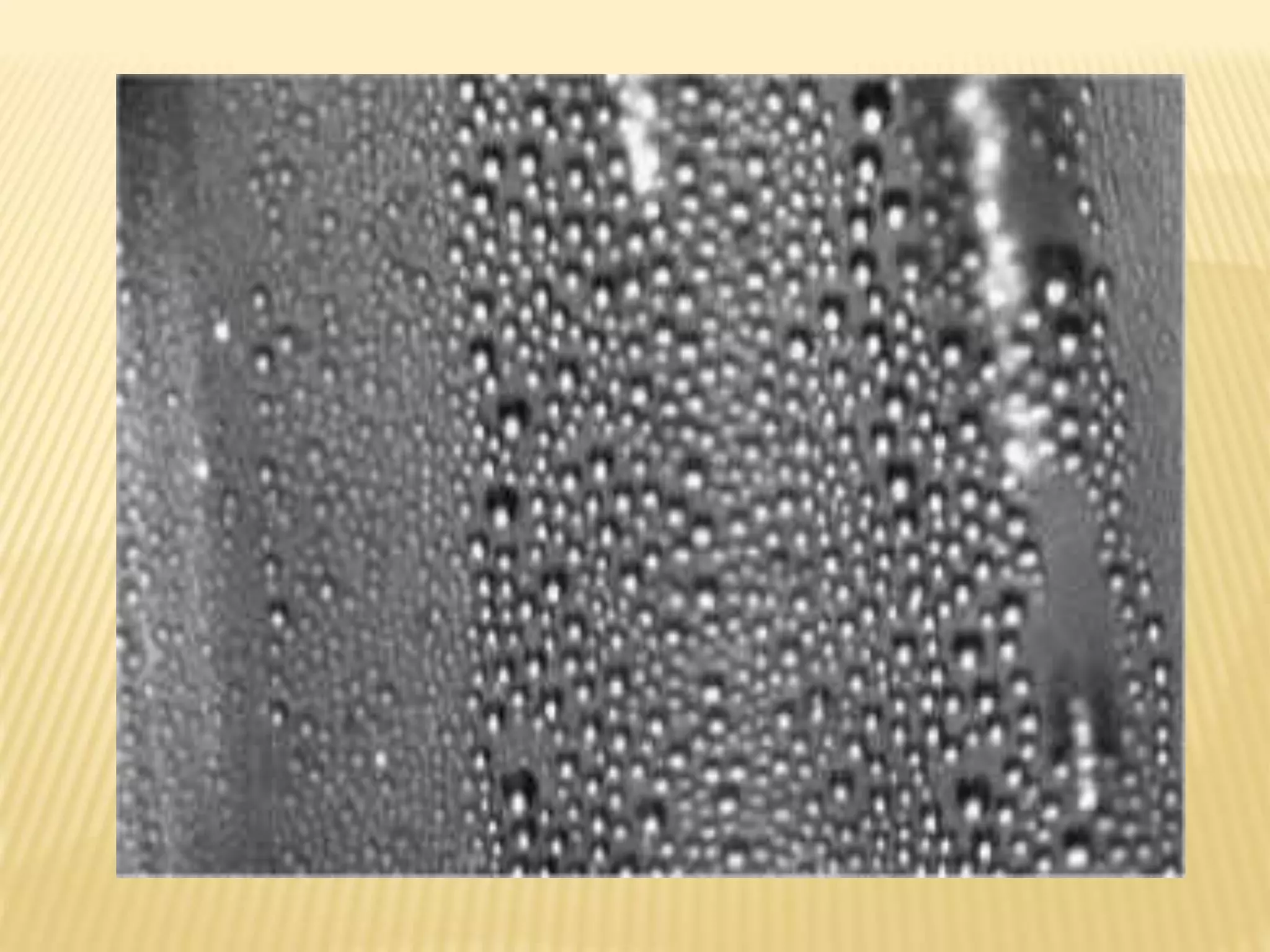 Presentation on Filmwise and Dropwise Condensation | PPTX