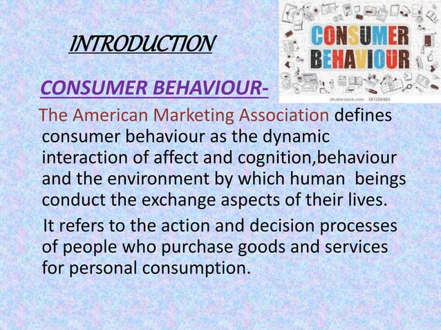 Presentation on consumer behaviour and marketing strategy | PPTX