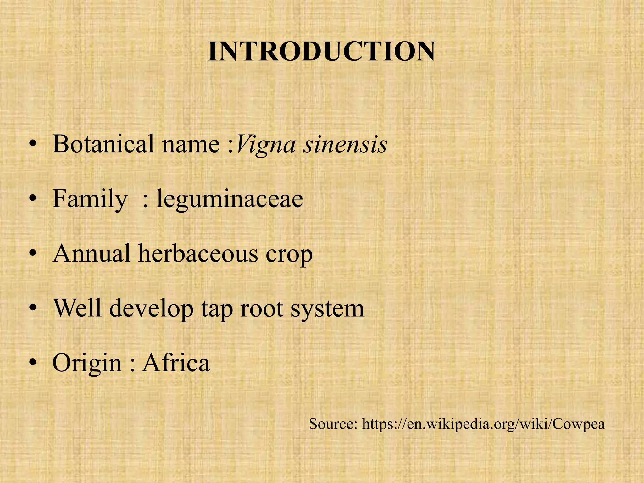 Presentation on cowpea | PPTX