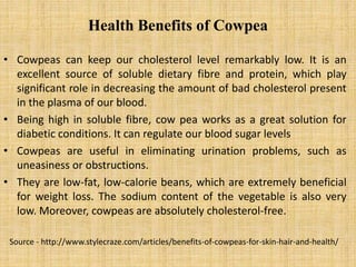 Presentation on cowpea | PPTX