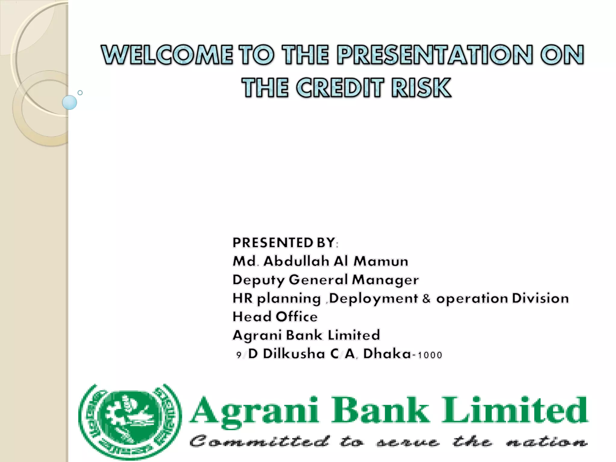 Presentation on credit risk | PPT