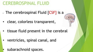 CEREBROSPINAL FLUID BY VIJAY KUMAR SBU | PPTX | Brain and Nervous ...