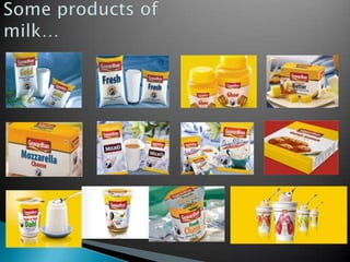 Presentation on dairy industry | PPTX