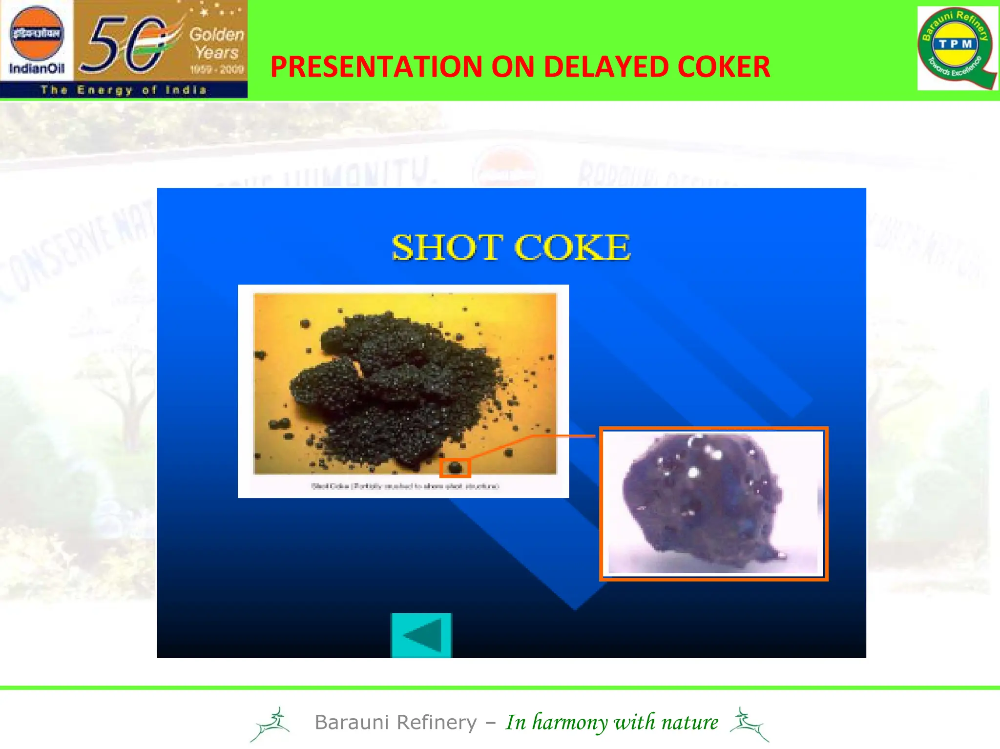 Presentation on Delayed Coking Technology.pdf