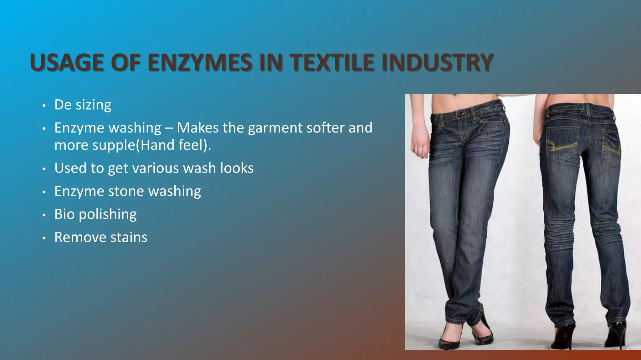 Presentation on Enzymes, Denim Stone Washing and Bio Polishing | PDF