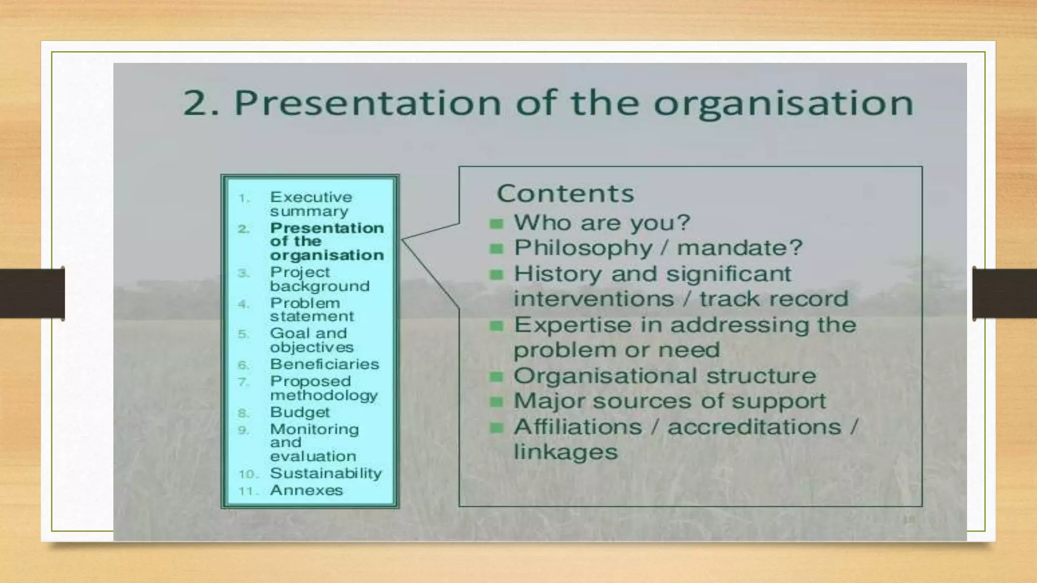 Presentation on Direct Problem-solving Intervention Projects.pptx