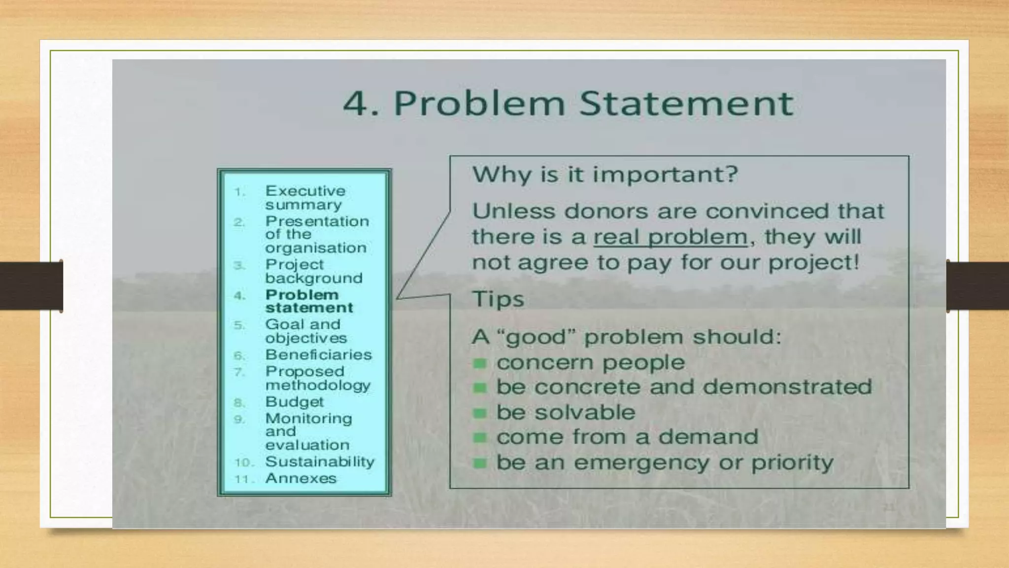 Presentation on Direct Problem-solving Intervention Projects.pptx