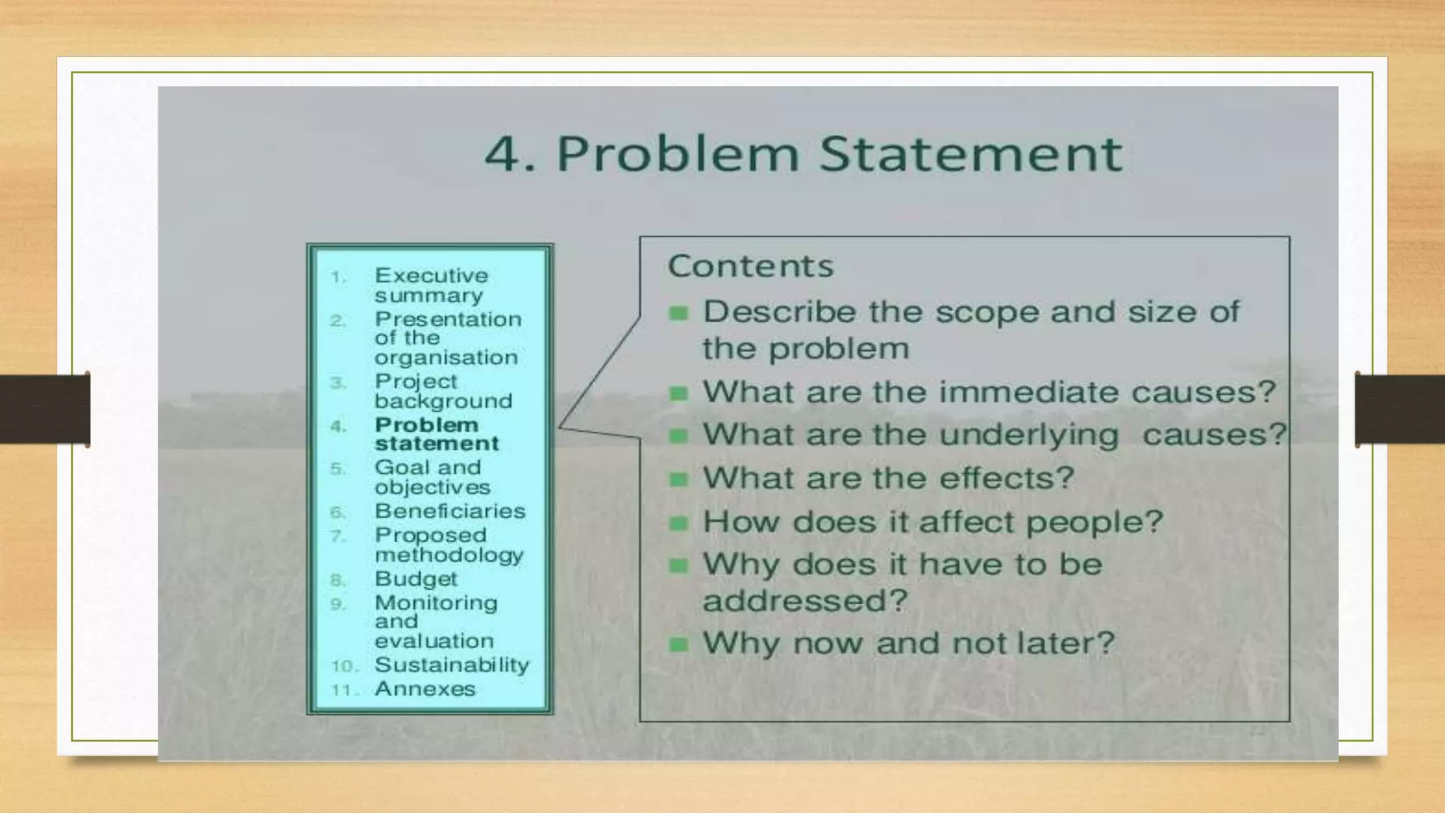 Presentation on Direct Problem-solving Intervention Projects.pptx