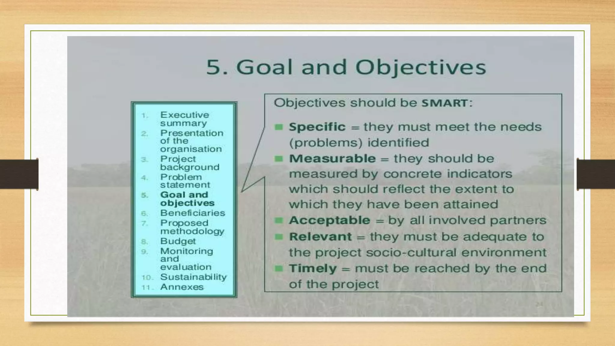 Presentation on Direct Problem-solving Intervention Projects.pptx