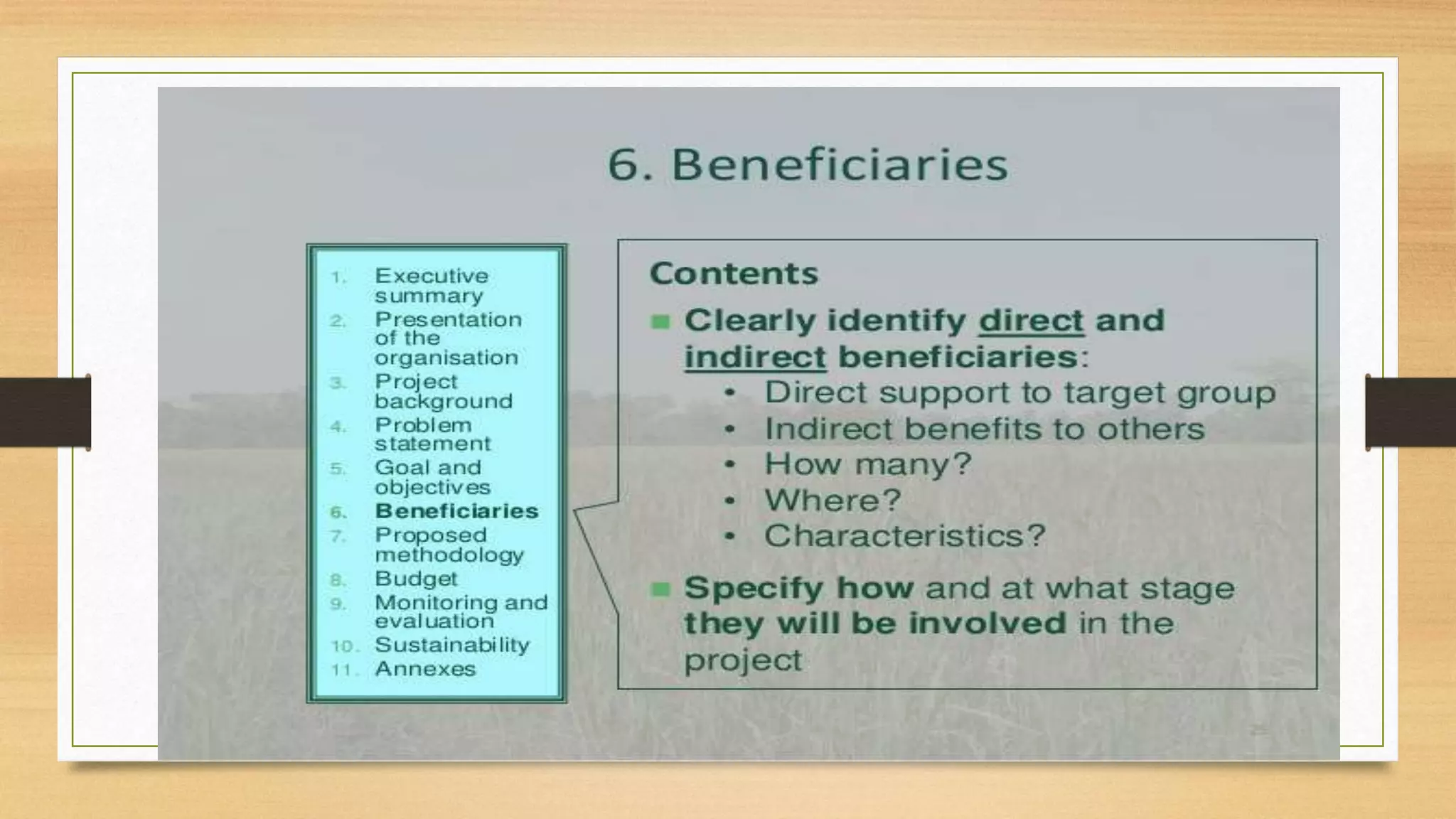 Presentation on Direct Problem-solving Intervention Projects.pptx
