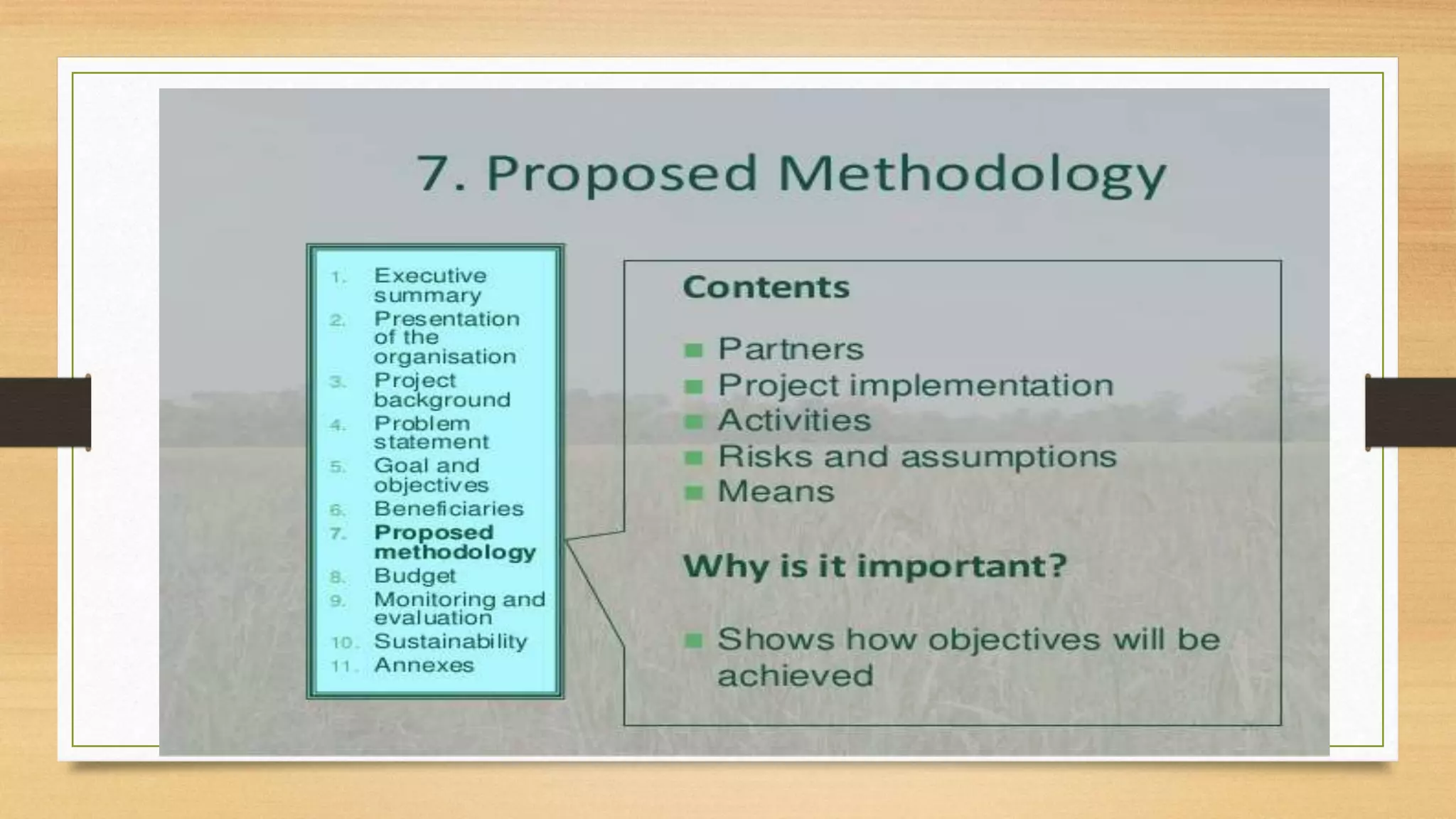 Presentation on Direct Problem-solving Intervention Projects.pptx