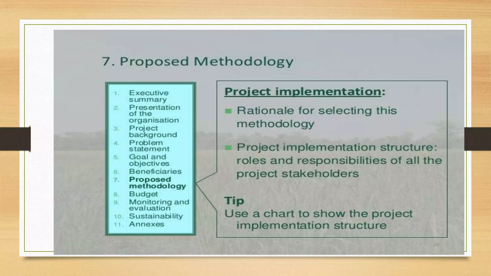 Presentation on Direct Problem-solving Intervention Projects.pptx
