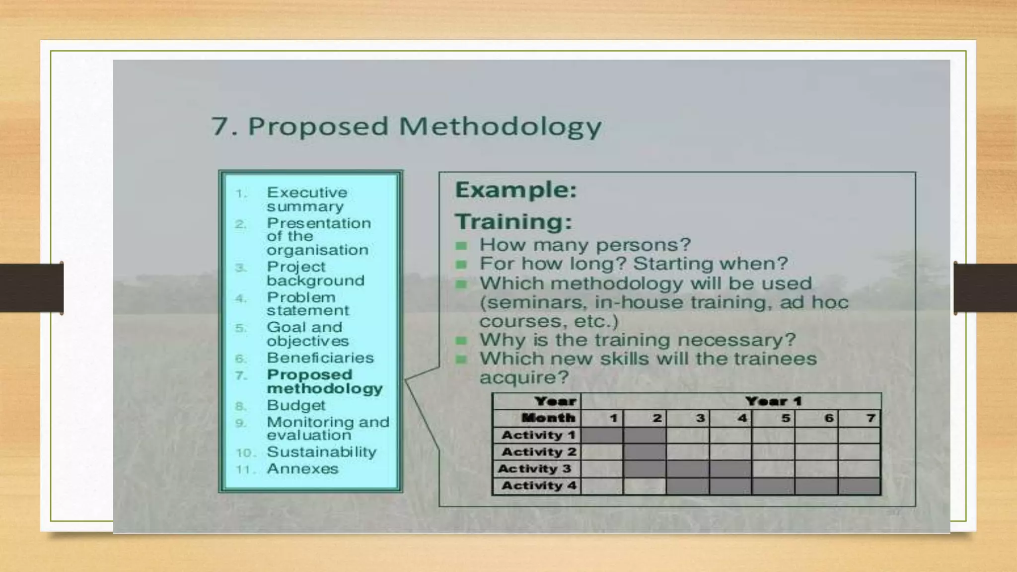 Presentation on Direct Problem-solving Intervention Projects.pptx