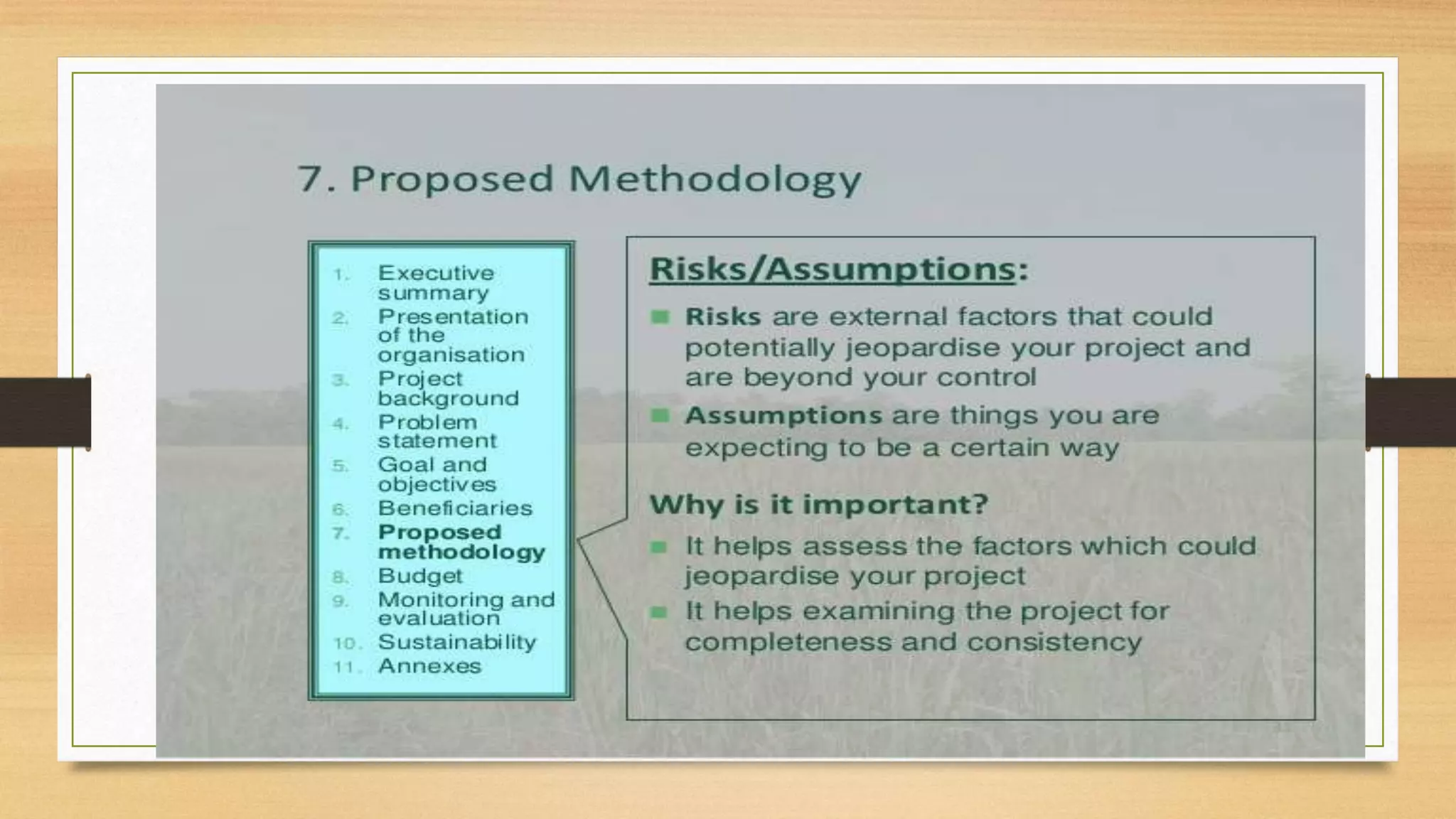 Presentation on Direct Problem-solving Intervention Projects.pptx