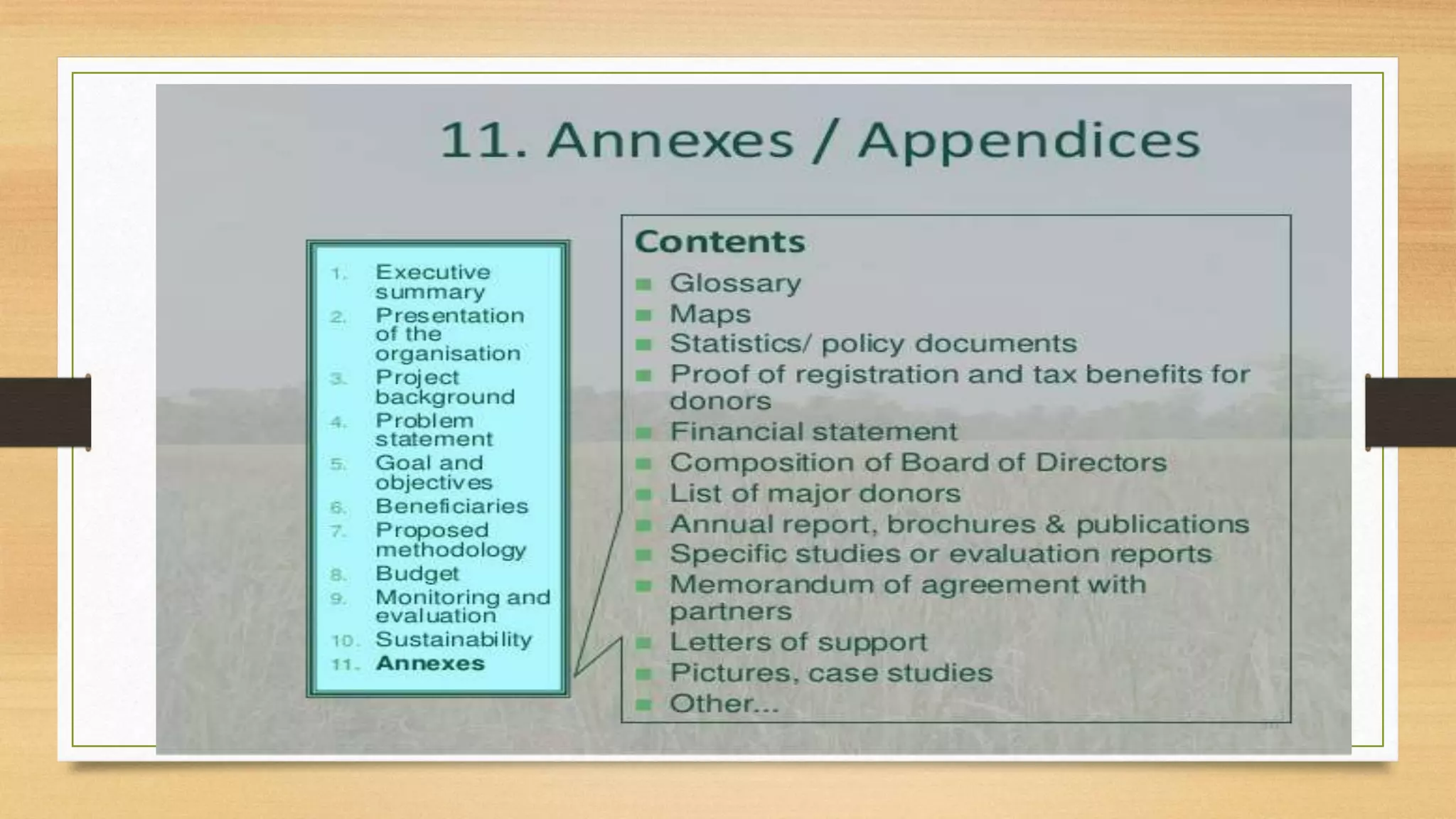 Presentation on Direct Problem-solving Intervention Projects.pptx