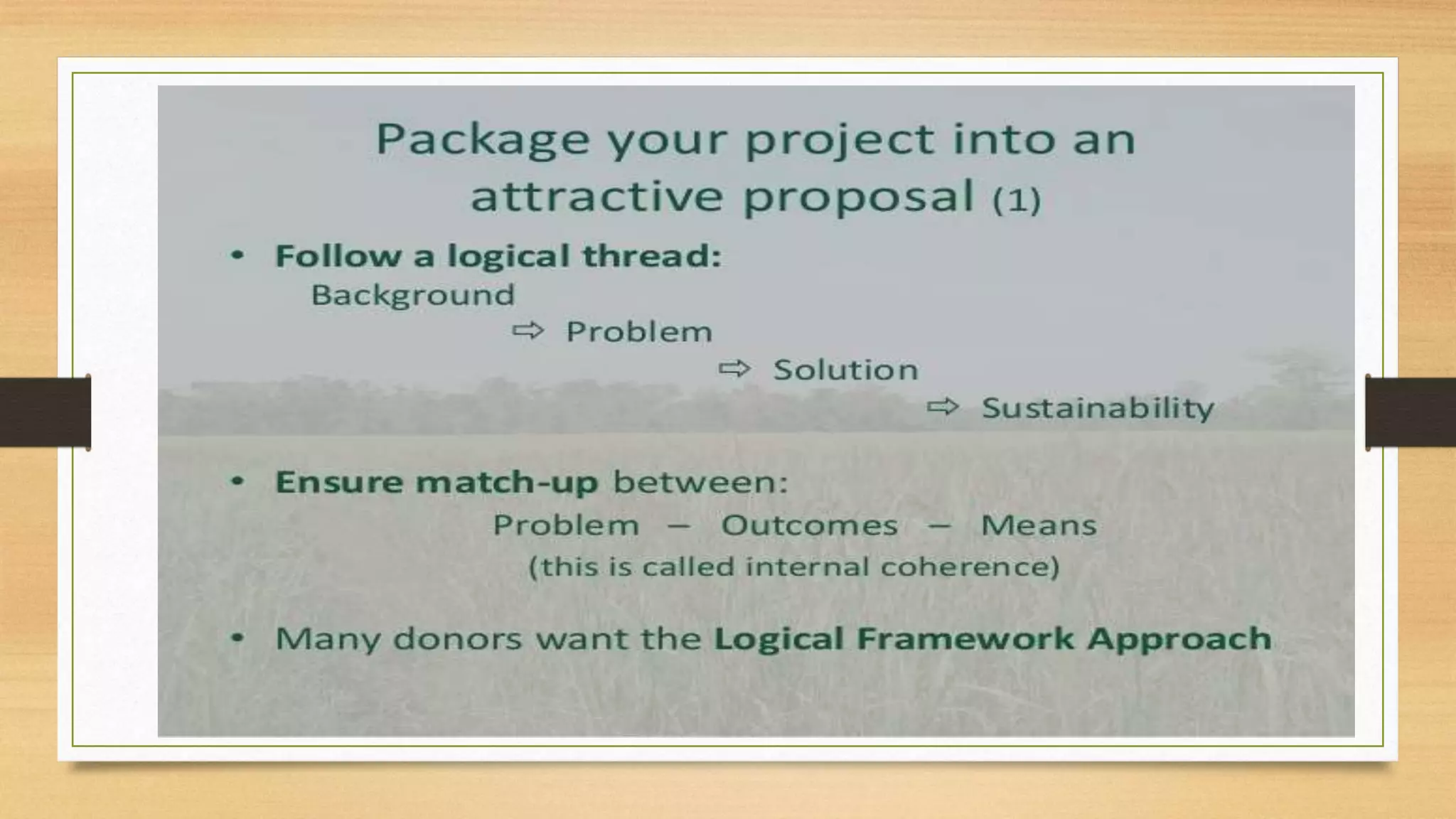 Presentation on Direct Problem-solving Intervention Projects.pptx