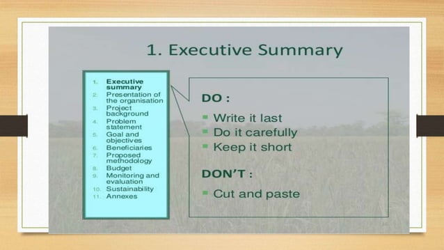 Presentation on Direct Problem-solving Intervention Projects.pptx