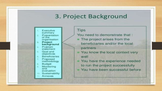 Presentation on Direct Problem-solving Intervention Projects.pptx