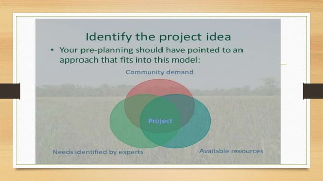 Presentation on Direct Problem-solving Intervention Projects.pptx