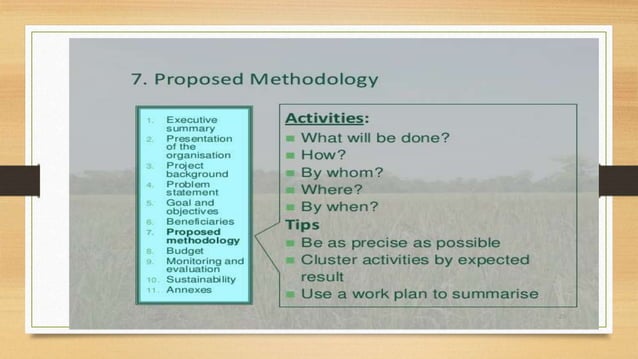 Presentation on Direct Problem-solving Intervention Projects.pptx