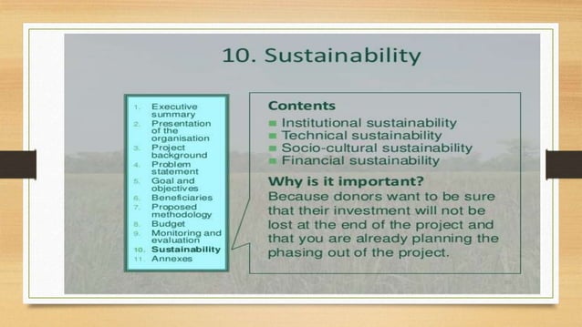 Presentation on Direct Problem-solving Intervention Projects.pptx