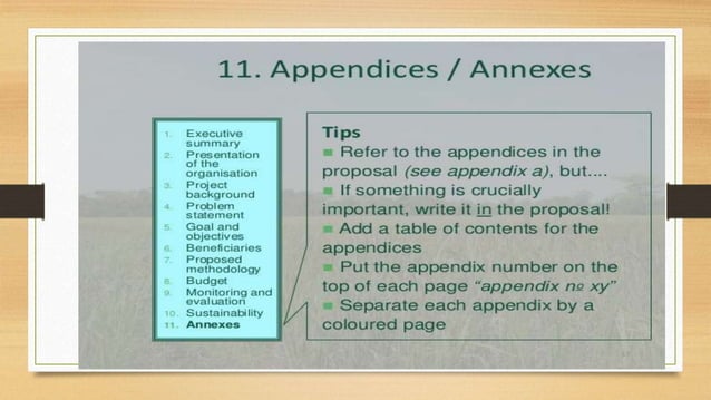 Presentation on Direct Problem-solving Intervention Projects.pptx