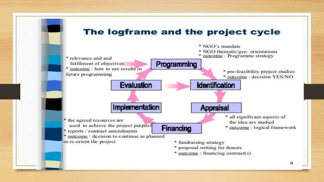 Presentation on Direct Problem-solving Intervention Projects.pptx
