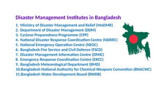 Presentation On Disaster Management.pptx