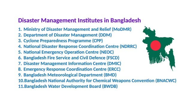 Presentation On Disaster Management.pptx