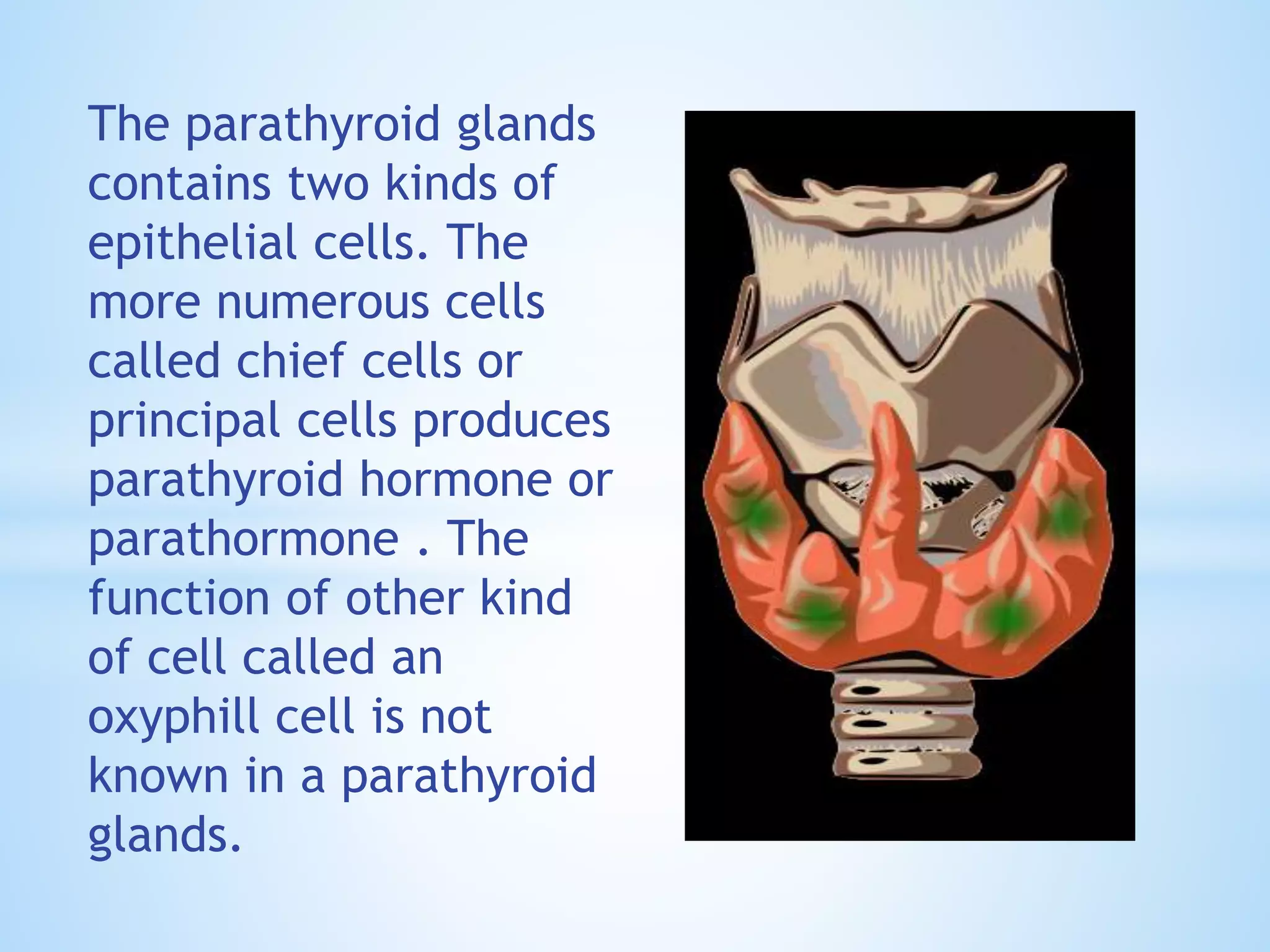 Presentation on disorders of parathyroid glands | PPTX