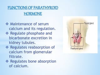 Presentation on disorders of parathyroid glands | PPTX