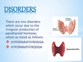 Presentation on disorders of parathyroid glands | PPTX