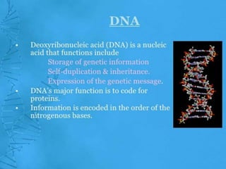 Presentation on dna sequencing | PPT