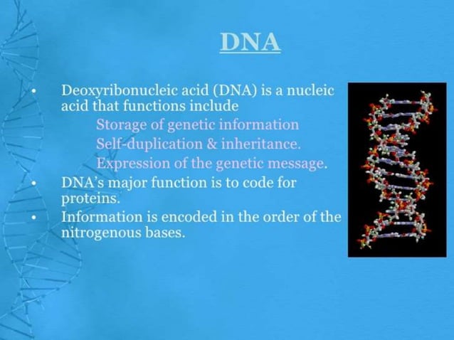Presentation on dna sequencing | PPT