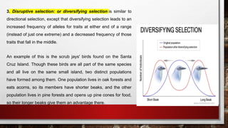 presentation on domestication, acclimatization and selection.pptx