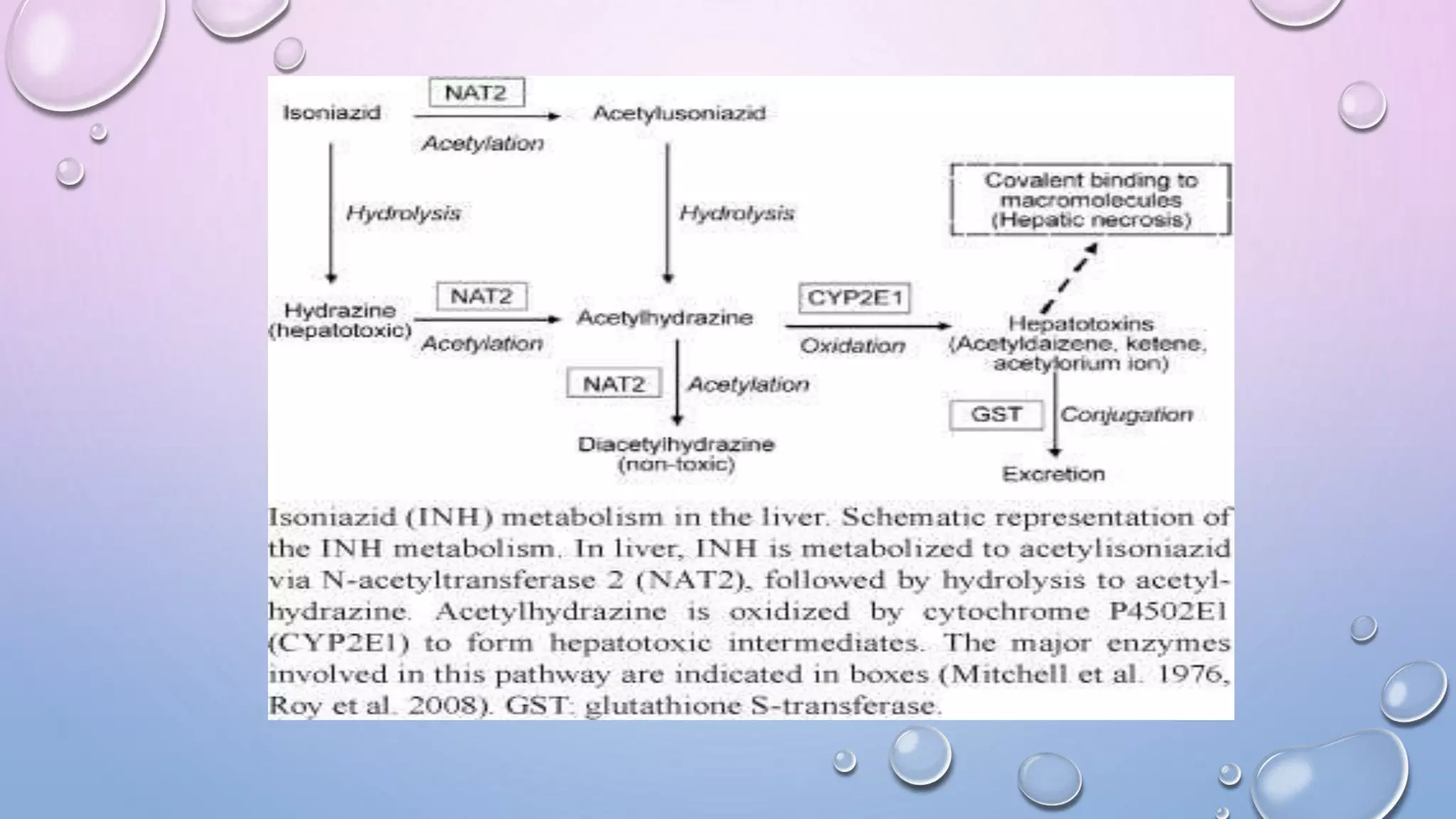 Presentation on drug induced hepatotoxicity | PPTX