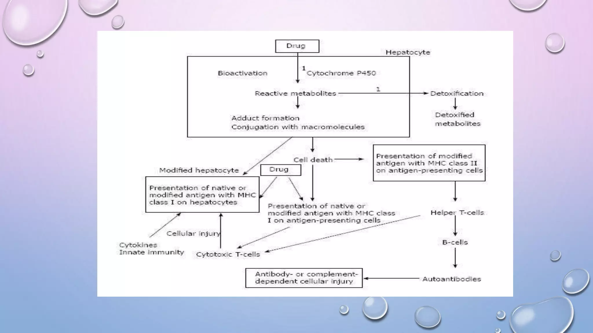 Presentation on drug induced hepatotoxicity | PPTX