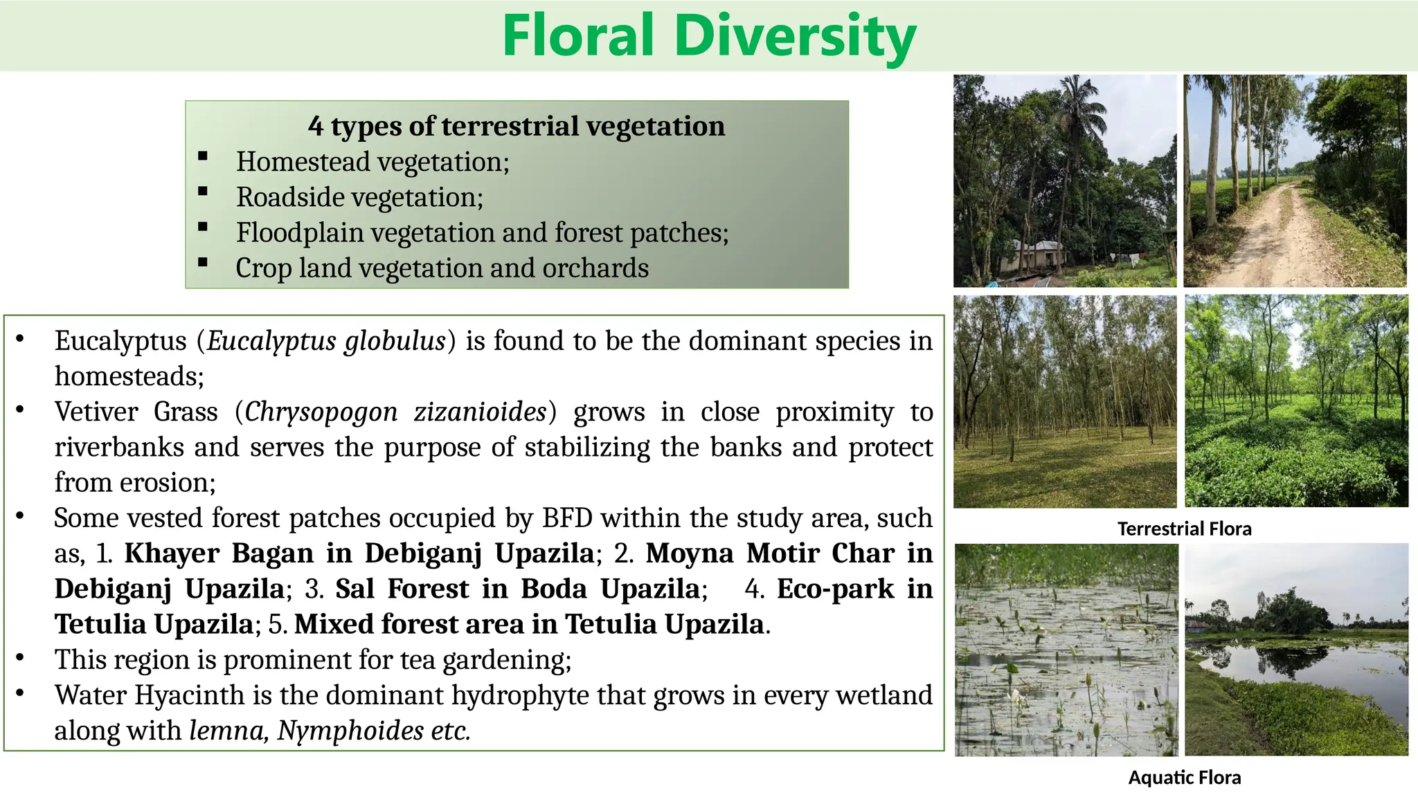 Presentation on Ecological Resources.pptx
