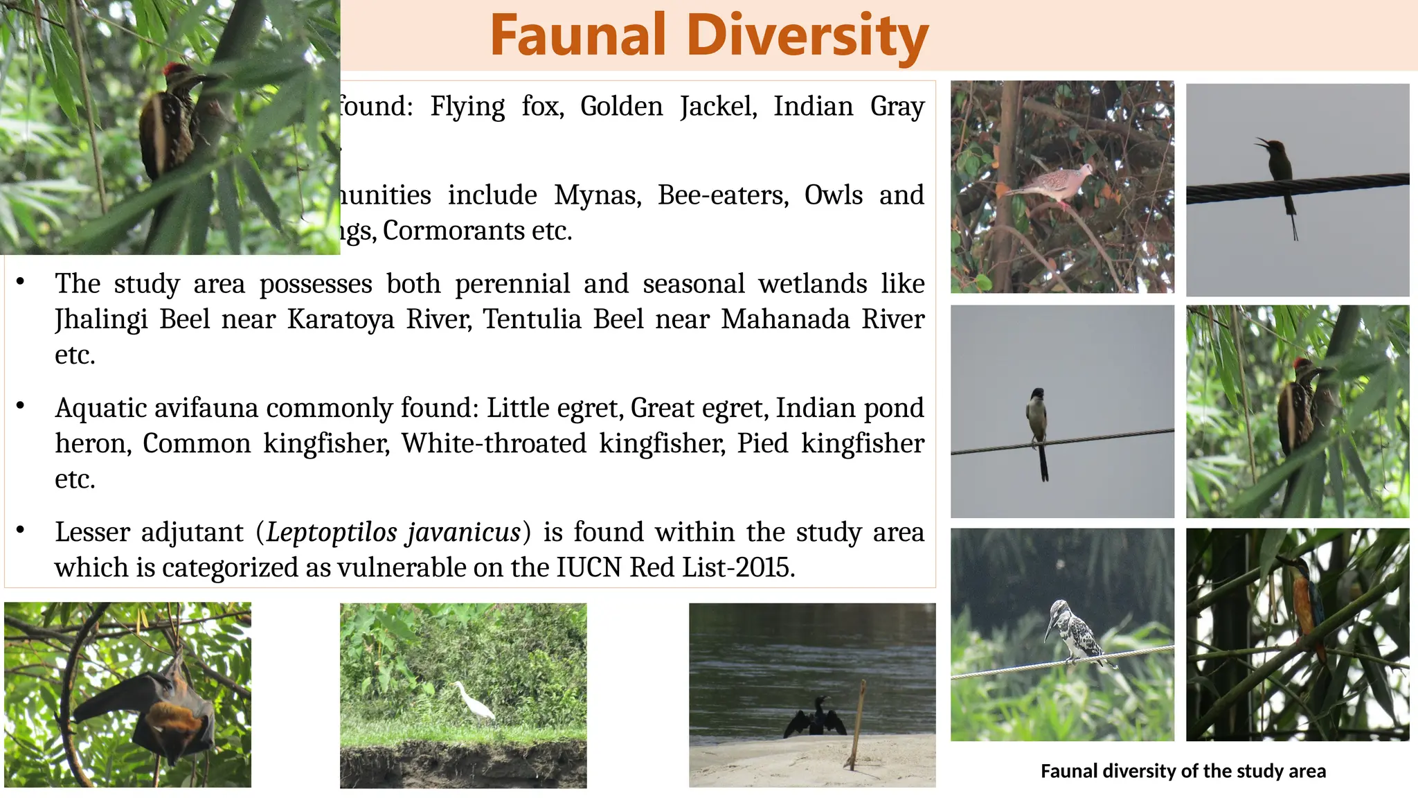 Presentation on Ecological Resources.pptx